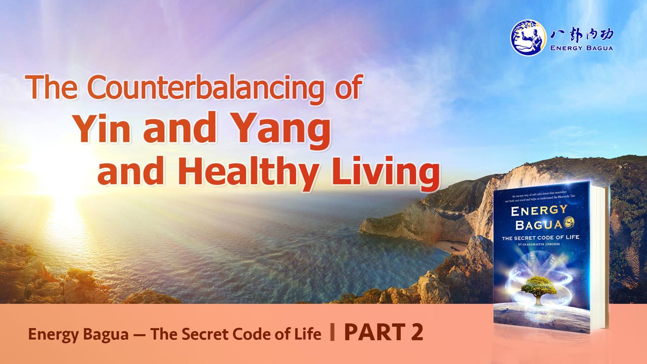 Energy Bagua – The Secret Code of Life Part 2 | The Counterbalancing of ...